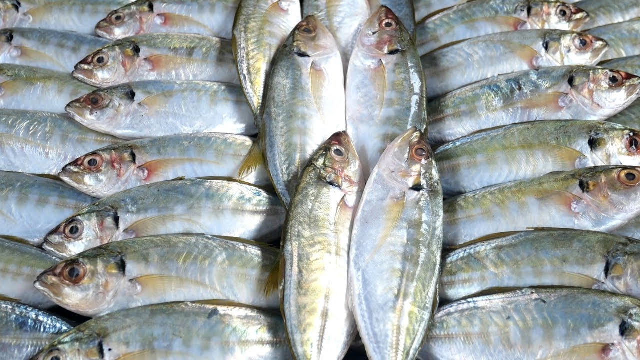 Sea Fish Recipe with Crispy Red Garlic, Climbing Wattle and Chili Sauce ...