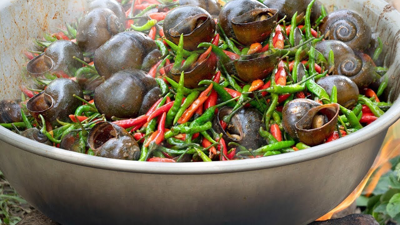 Cooking Big snail with chili Recipe - Eating Delicious By village ...