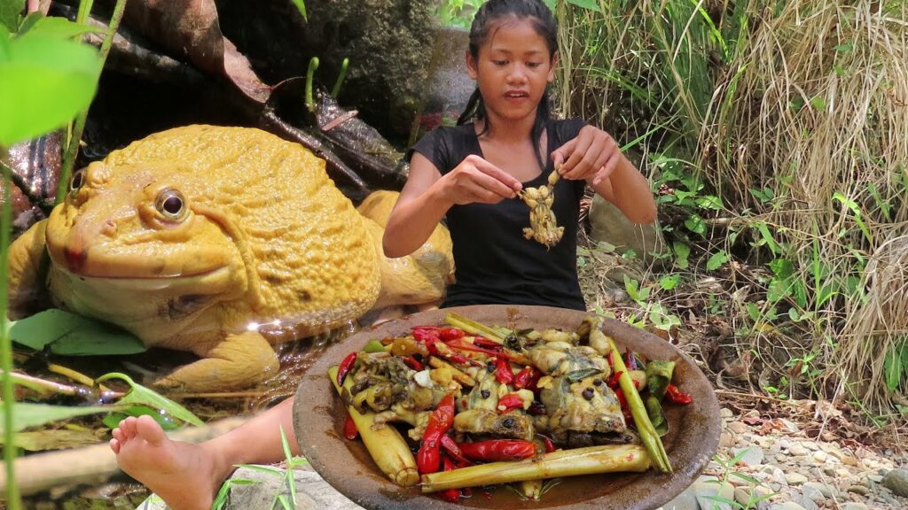 Yummy Cooking Frogs Spicy with Hot Chili & Eating food in Forest ...