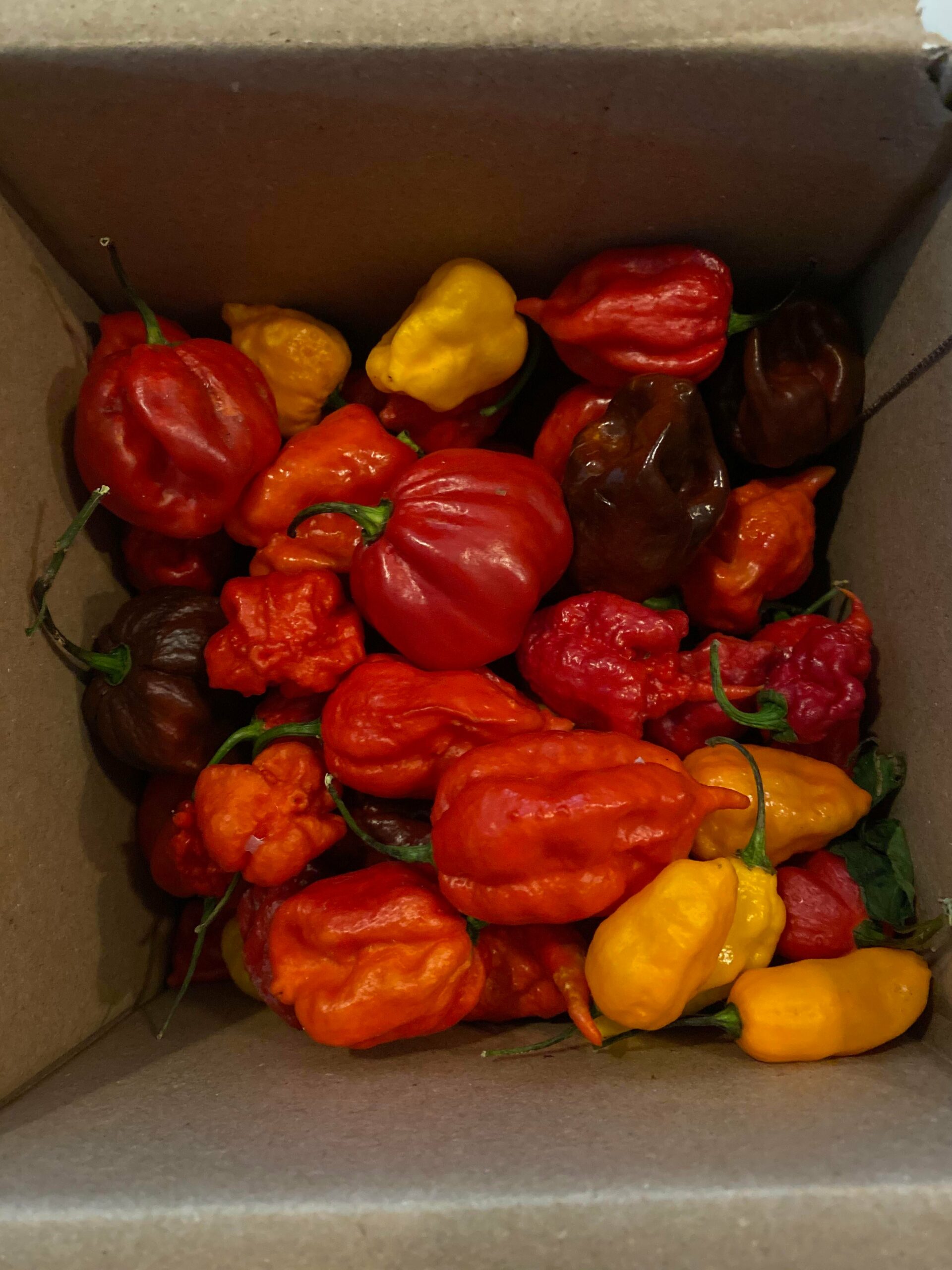 Just got these beauties in the mail. Throwing them in my smoker to make ...