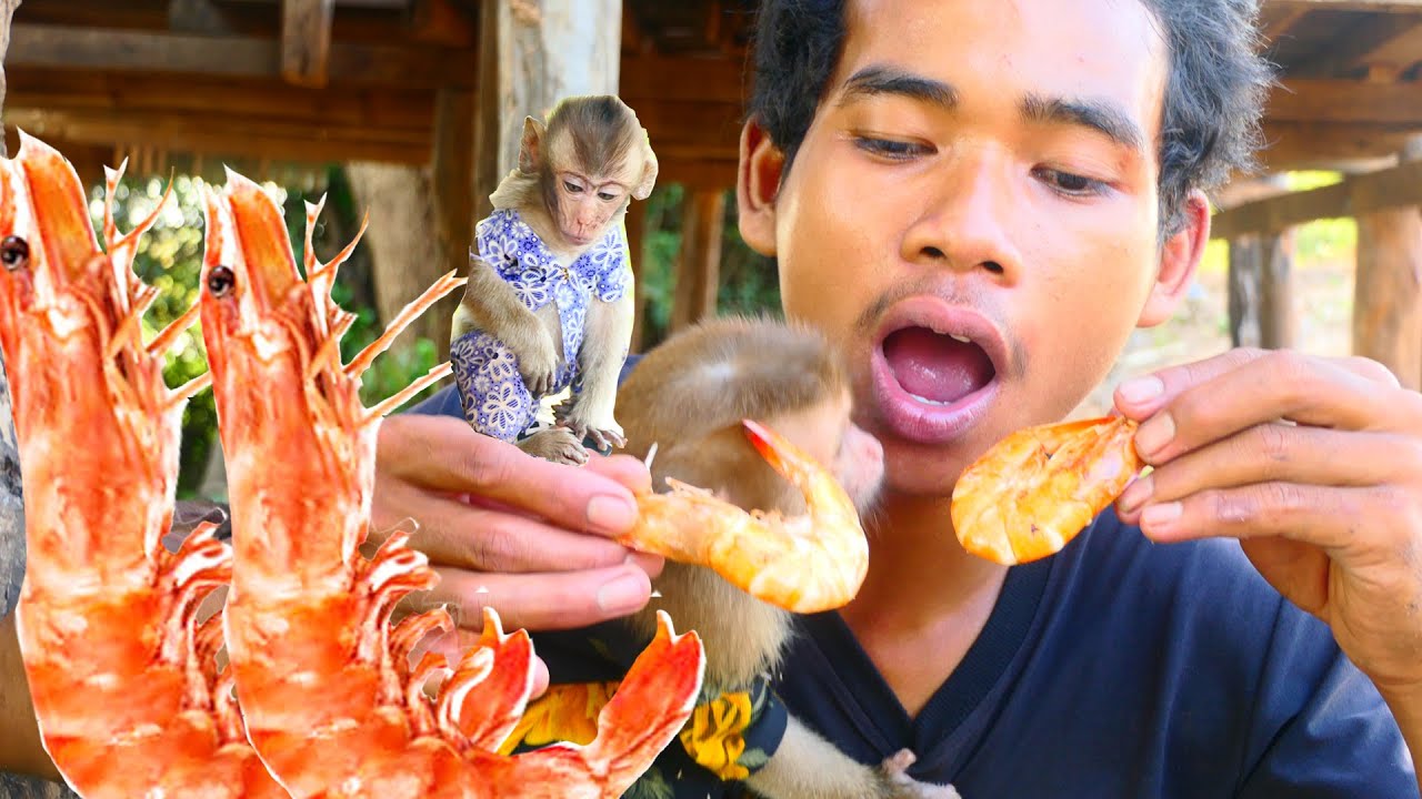 Yummy Grilled Shrimp Cooking With Chili Recipe| Eating Grilled Shrimp ...