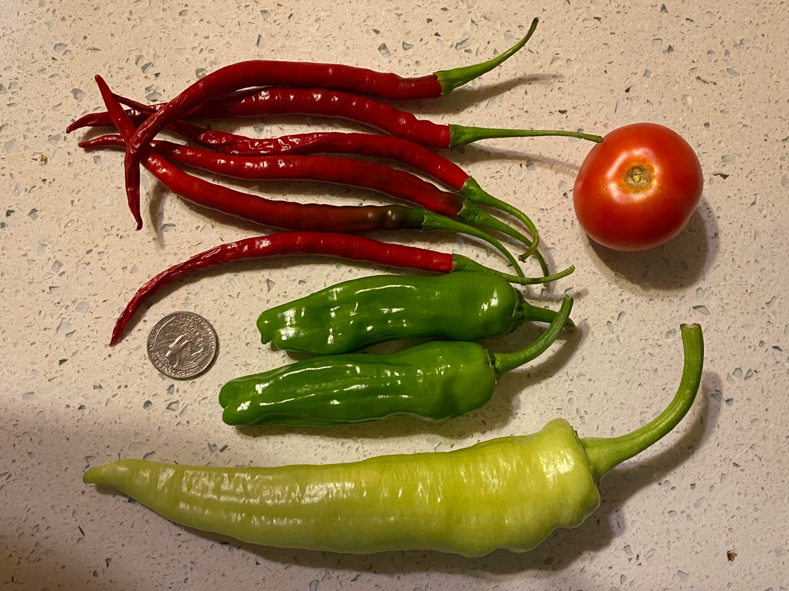 Little harvest ! - Chili Chili