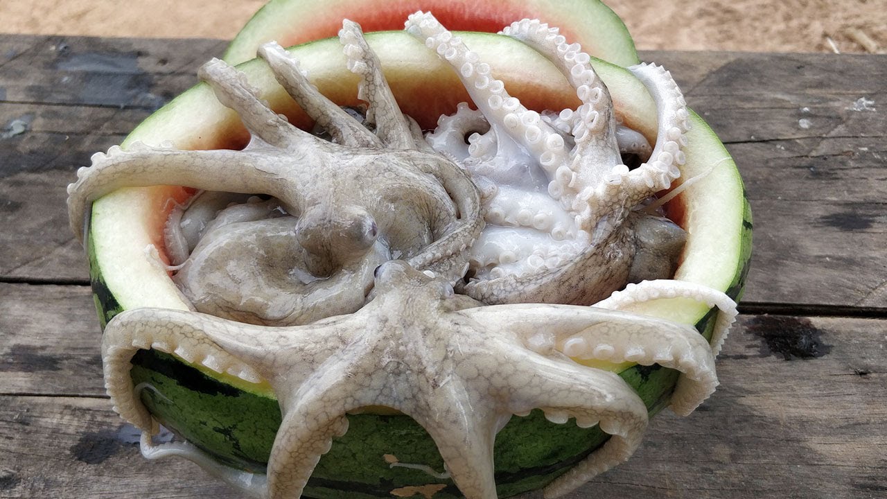 Watermelon Octopus Recipe / Cooking Octopus in Watermelon - Chili Chili