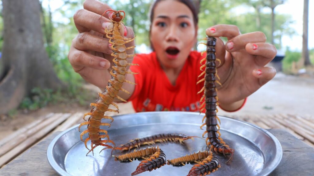 Mukbang centipede fried with chili sauce - Cook and eat centipede ...