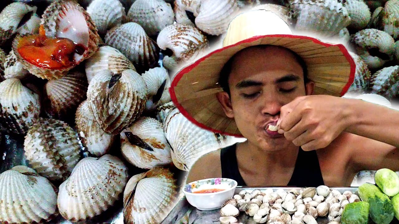 Amazing ASMR Mukbang, Eat cockles so delicious with chili sauce - Eat ...