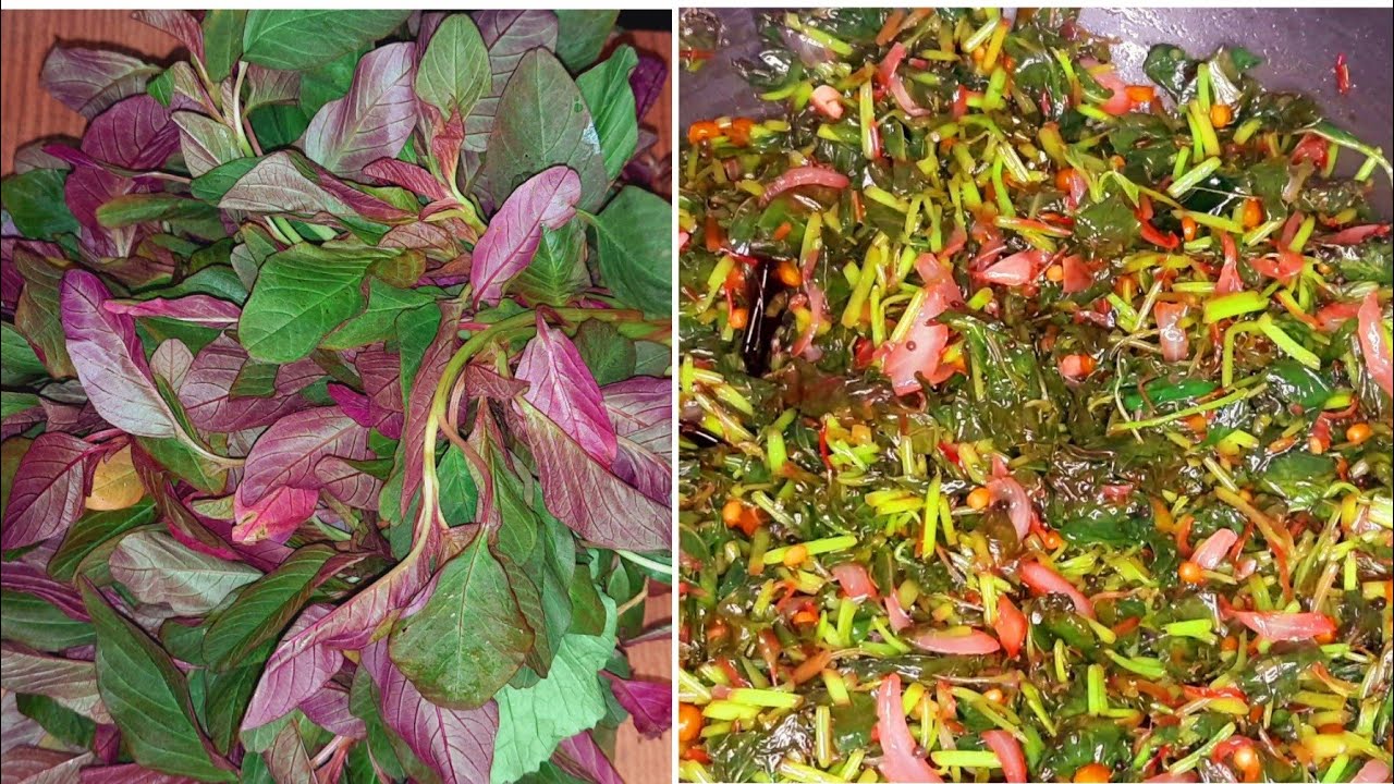 Amaranthus Garlic Chili || Healthy Protein Recipe Side dish for Rice ...
