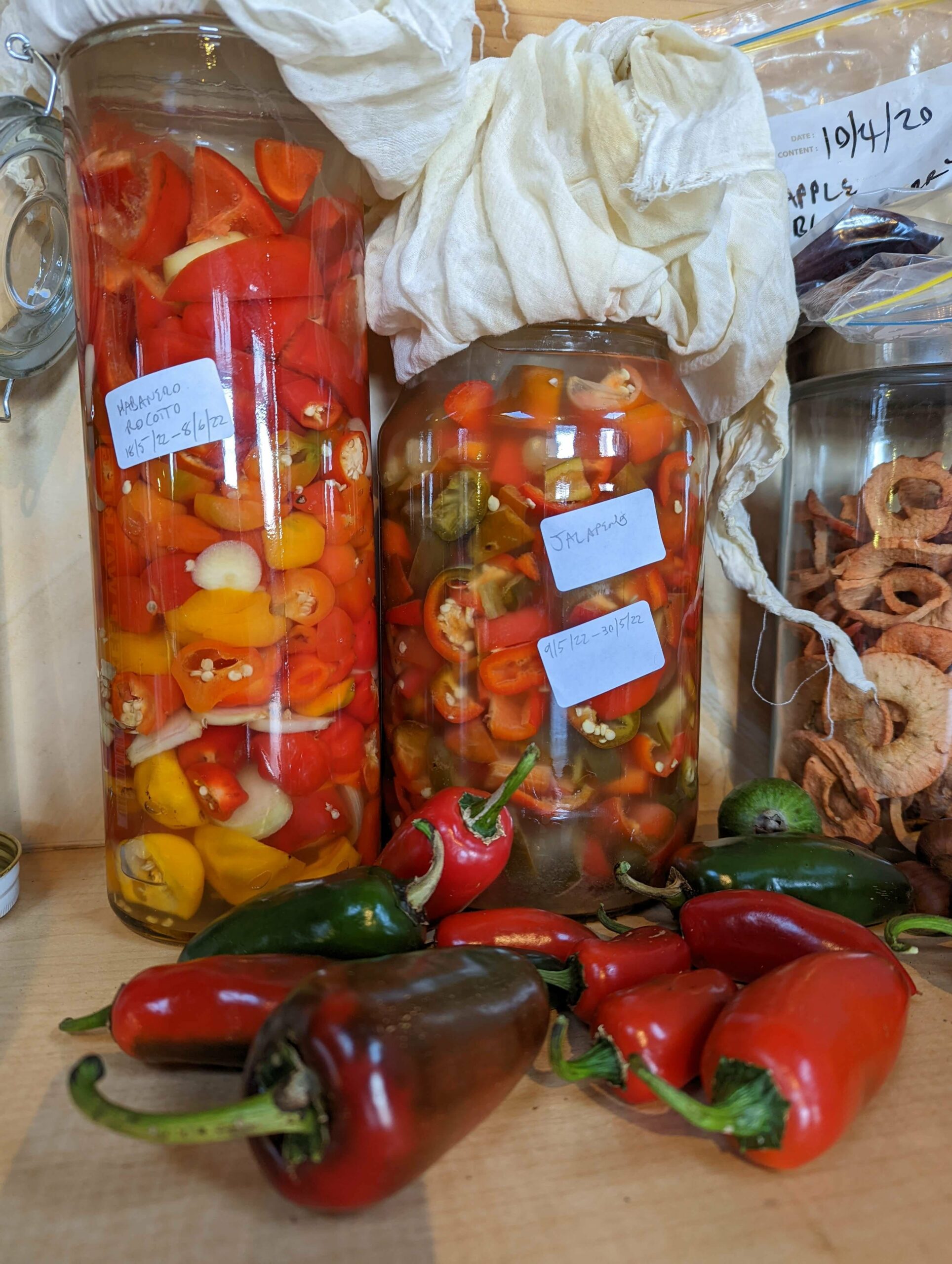 Getting to the end of the pepper season in Tasmania, Australia. 2 litre ...