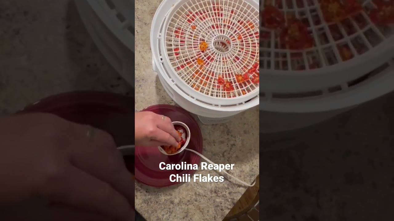 Natures Death Chili Flakes - Chili Chili