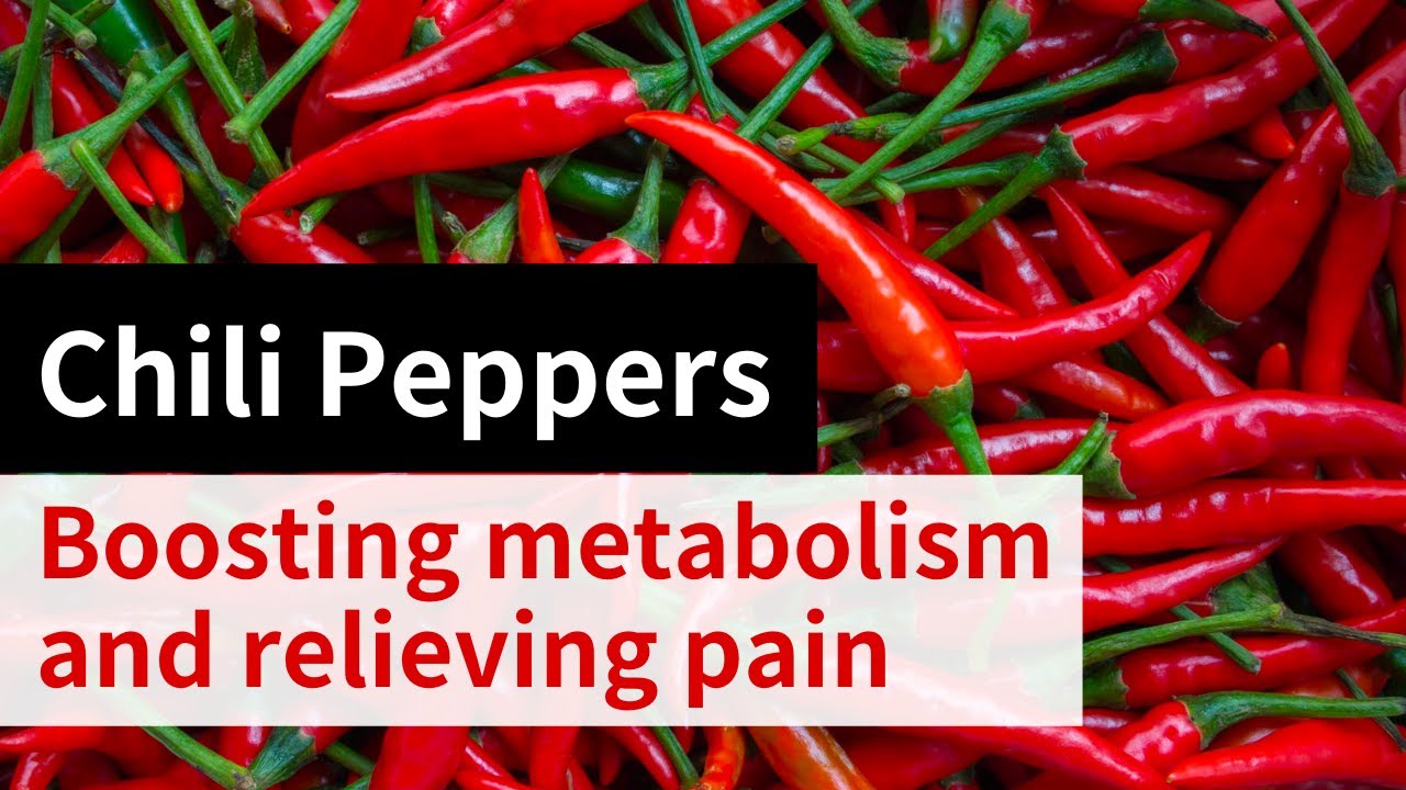 Chili Peppers: Bringing a spicy flavor and health benefits, Boosting ...