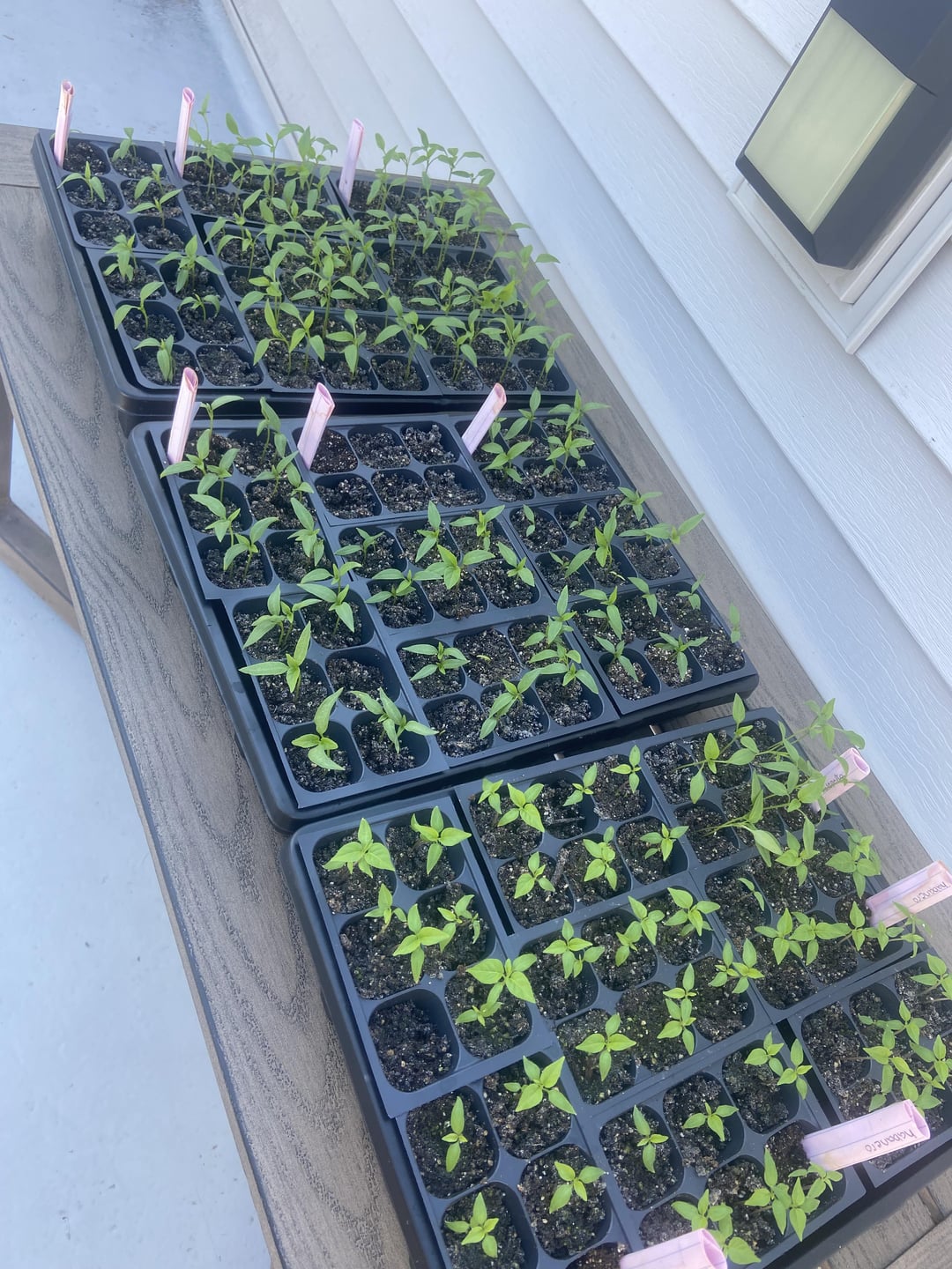 How do I start fertilizing? Do I need to repot or do I add to the soil ...