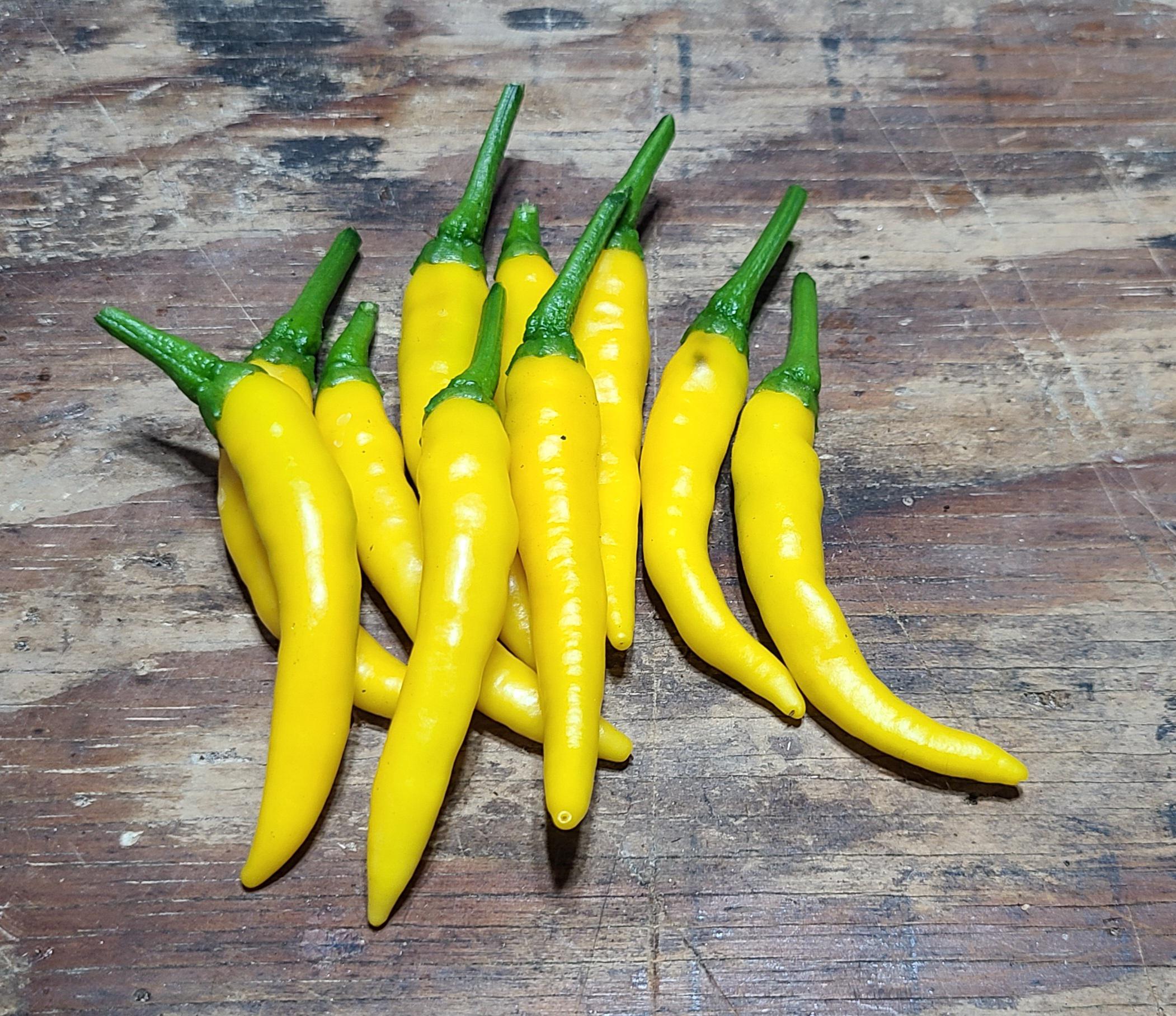 Kristian Thai peppers - Chili Chili