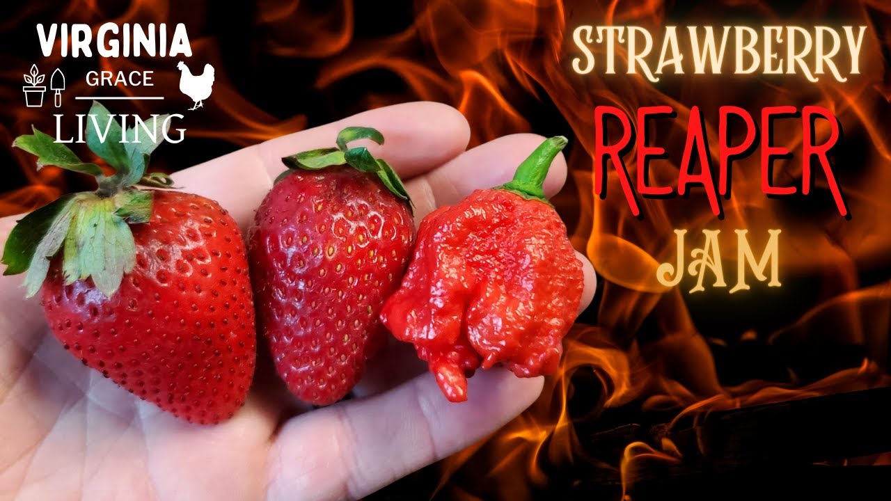 Strawberry Carolina Reaper Jam Recipe | Reaper Jelly | Hot Pepper Jam ...