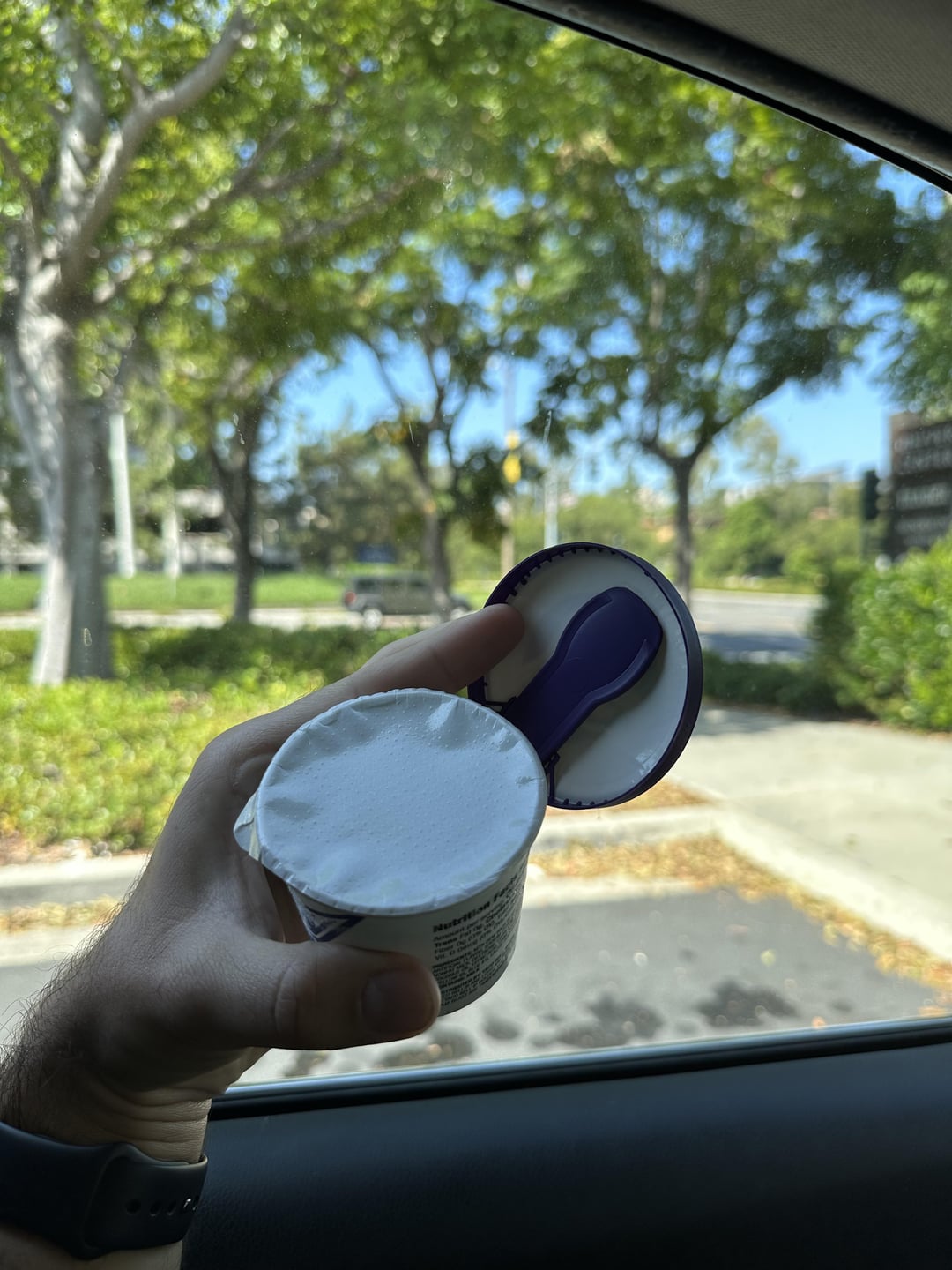 I tried the Baja Blast Gelato. - Chili Chili