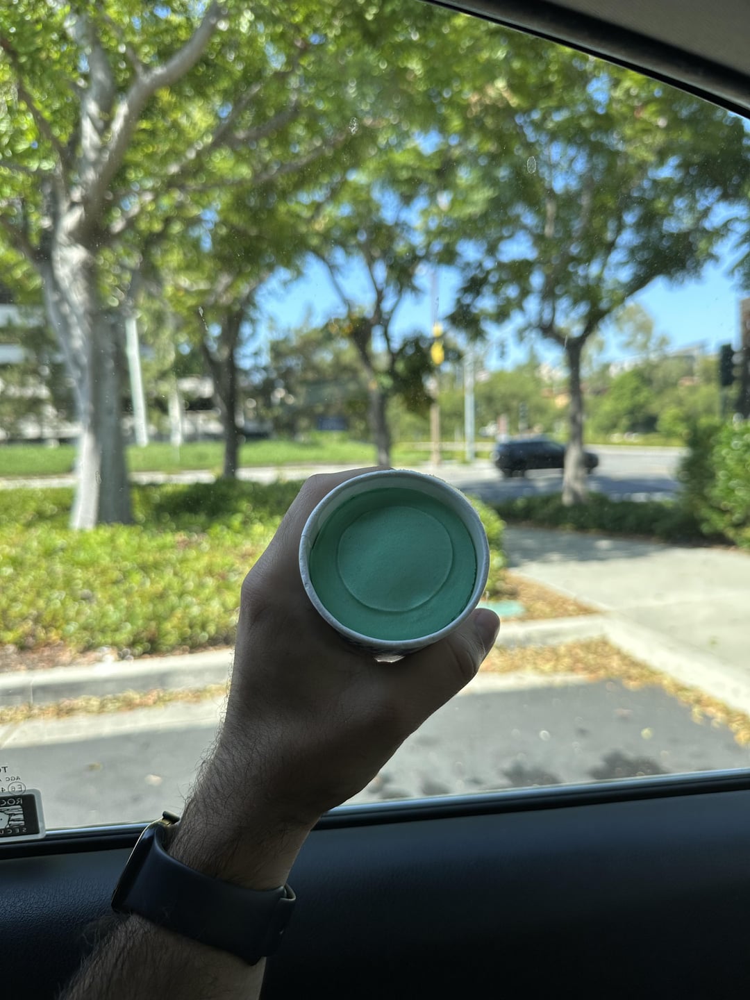 I tried the Baja Blast Gelato. - Chili Chili