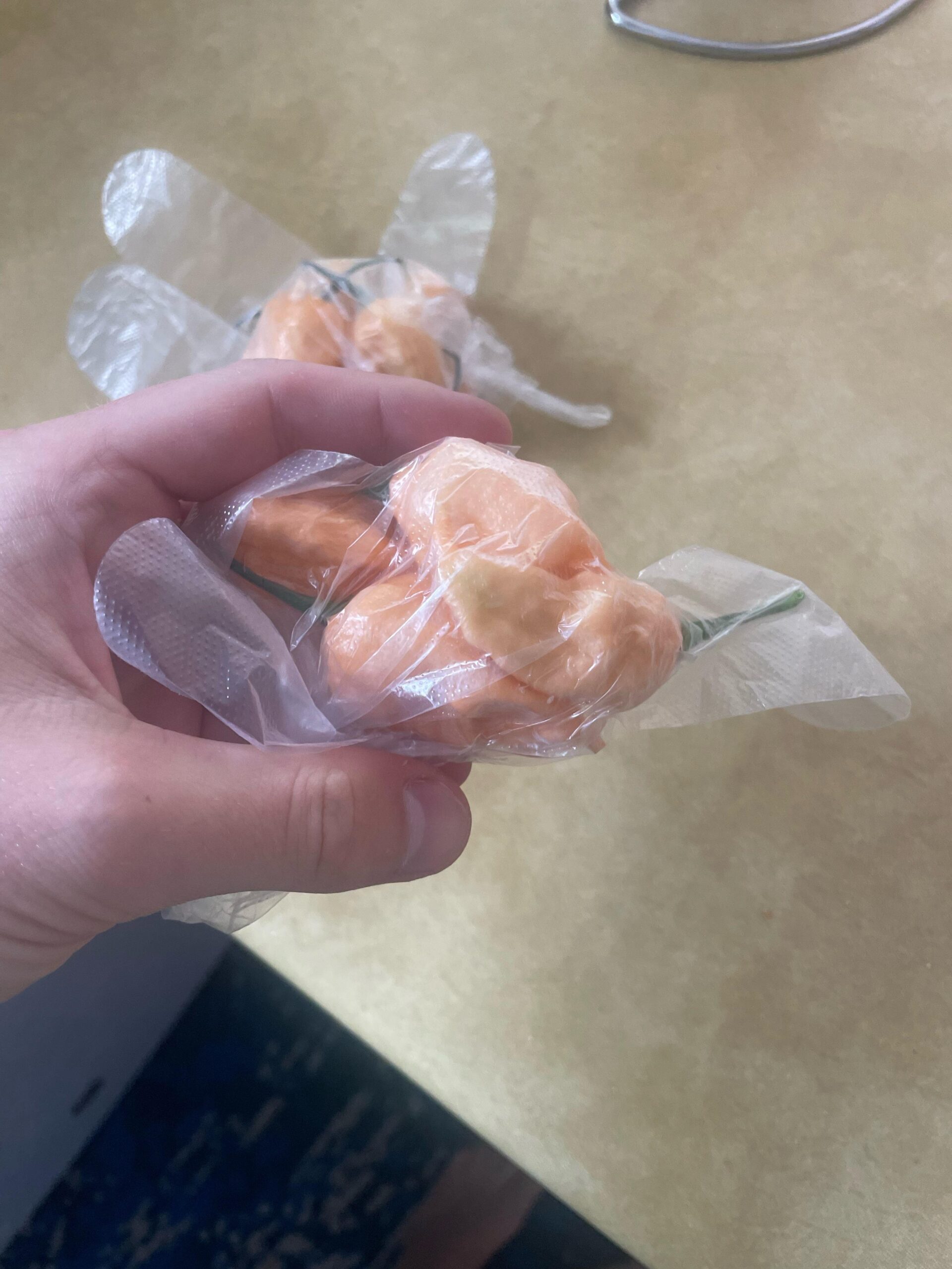 Freezing Peppers for State Fair - Chili Chili