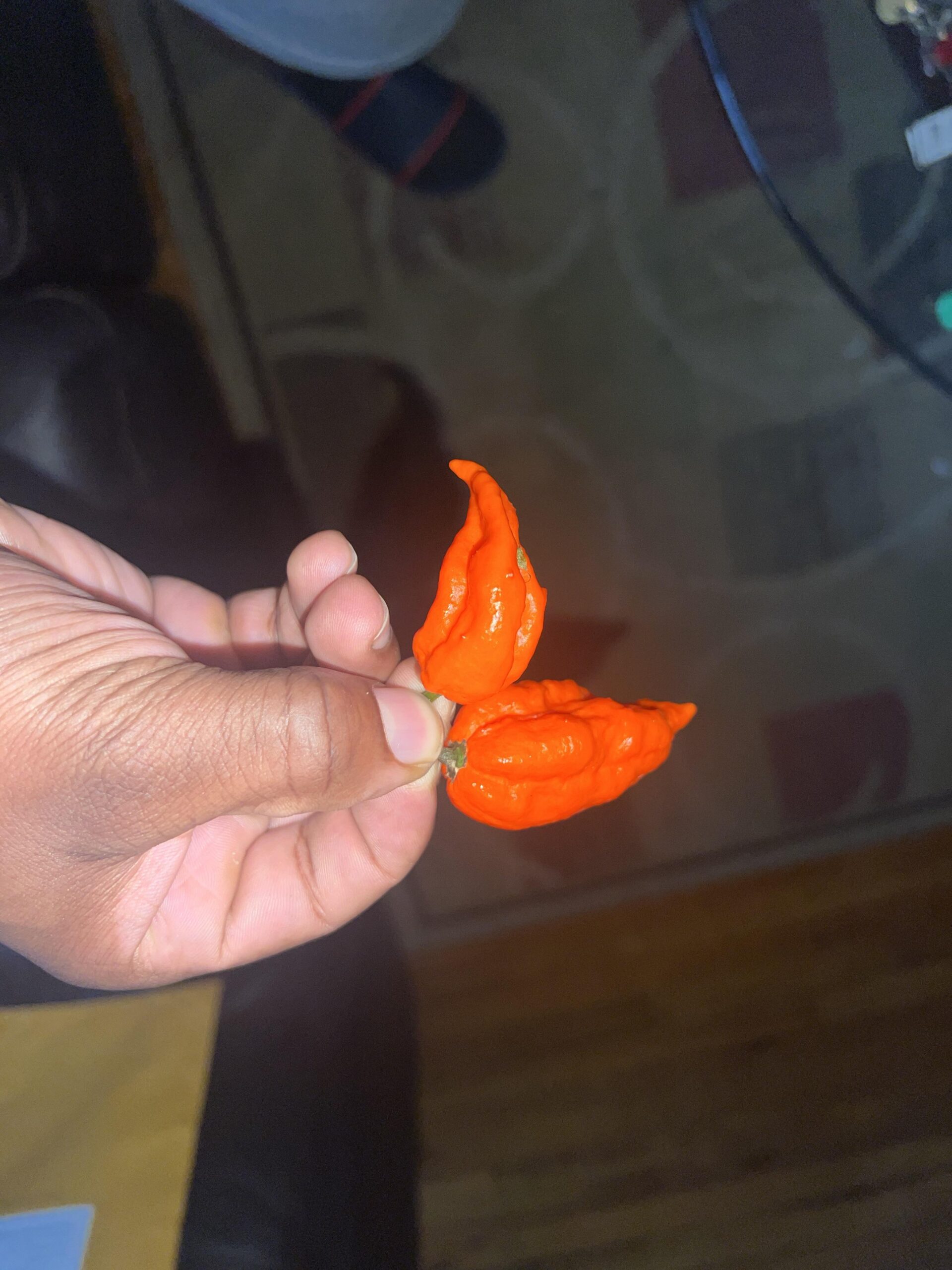 Ghost Peppers or Carolina Reapers? - Chili Chili