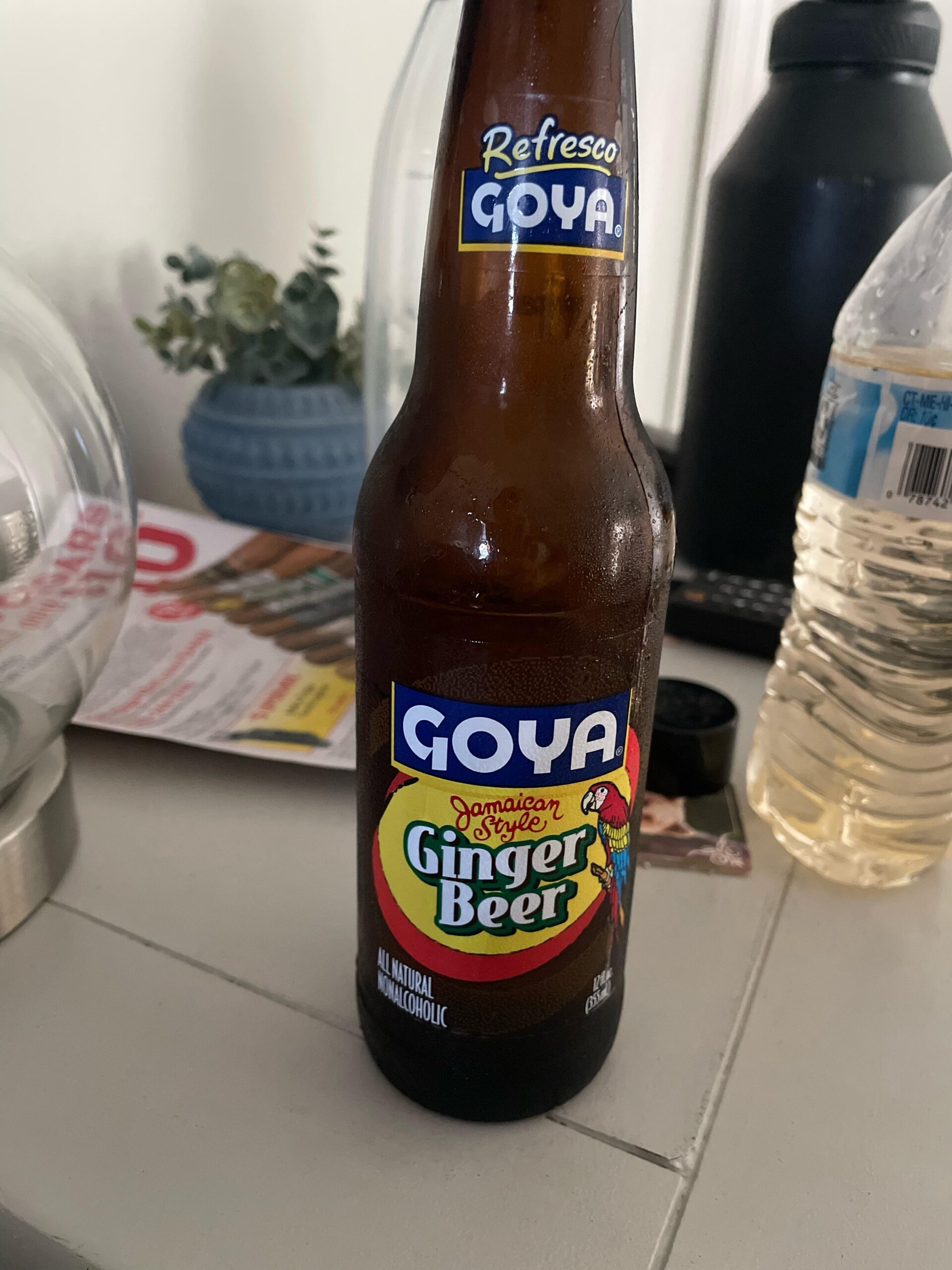 Goya ginger beer? - Chili Chili