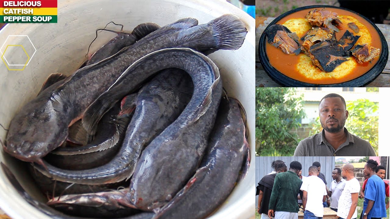 How To Prepare Delicious CATFISH Pepper Soup / Point & Kill / Catfish ...