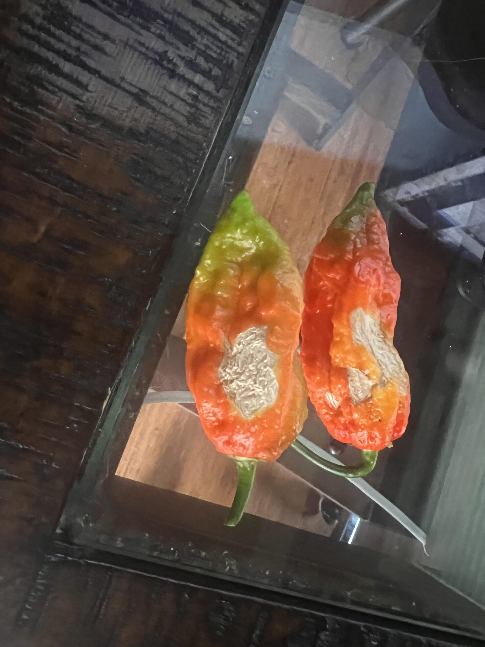Gray Spots On Ghost Peppers Chili Chili