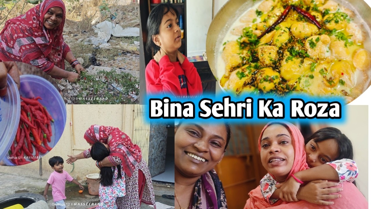 Sab Ko Diya Surprise 🫢 Ammi Ne Kiye Chilli Harvesting | gulbarga K Dahi ...